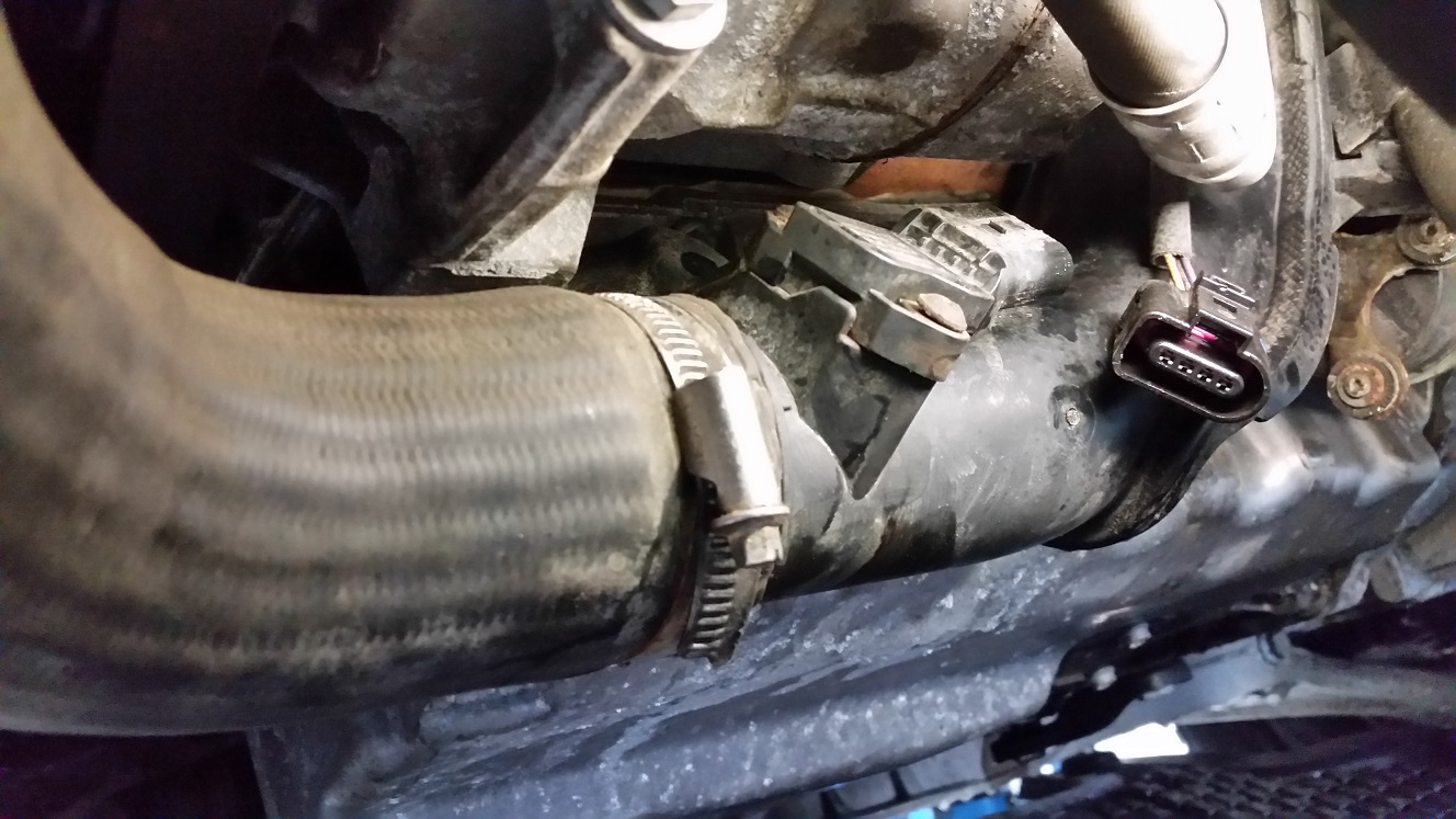 Sensor P0113? Luftansaugtemperatur - VW Sharan III, Seat Alhambra III ...